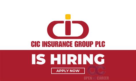 Group Database Administrator At Cic Insurance Opened Career