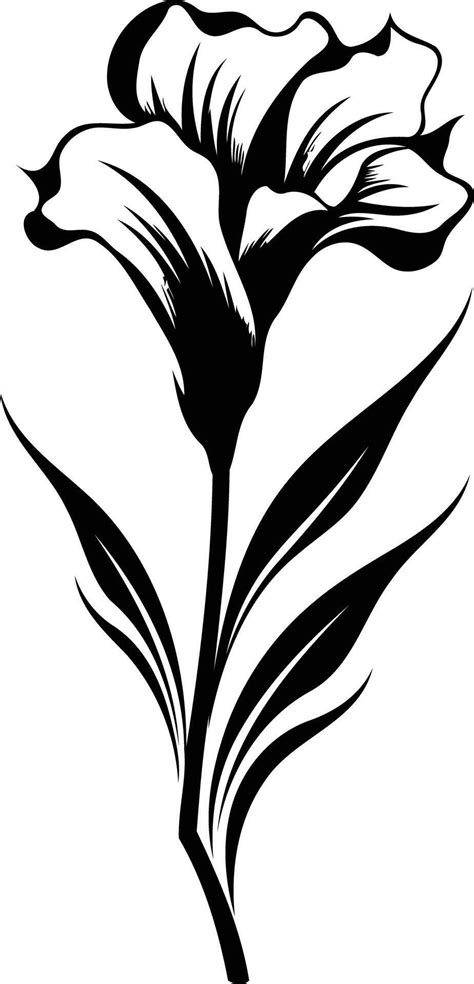 Black And White Flower Clip Art 50153804 Vector Art At Vecteezy