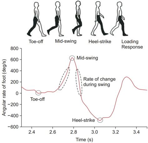 Evaluation Of Validity And Reliability Of Inertial Measurement Unit Based Gait Analysis Systems