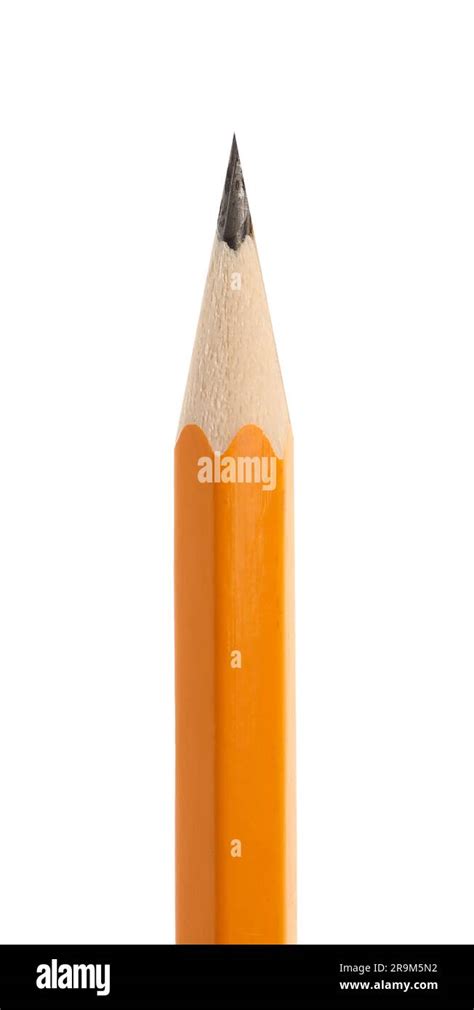 Graphite Pencil Isolated On White Closeup School Stationery Stock