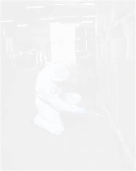 Rob Finn On Linkedin Please Feel Free To Contact Our Team For Any Pest Issues You May Have…