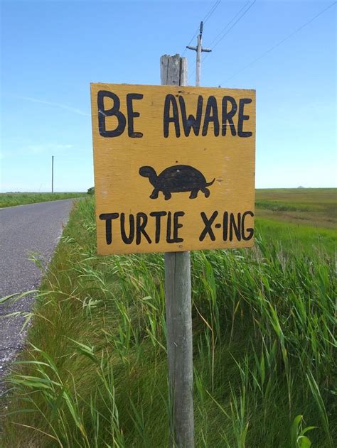 Jersey Shore Wildlife Jersey Shore Wildlife Wildlife Refuge