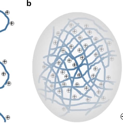 Chemical Structures Of Paramylon Htap And Cholestyramine Download