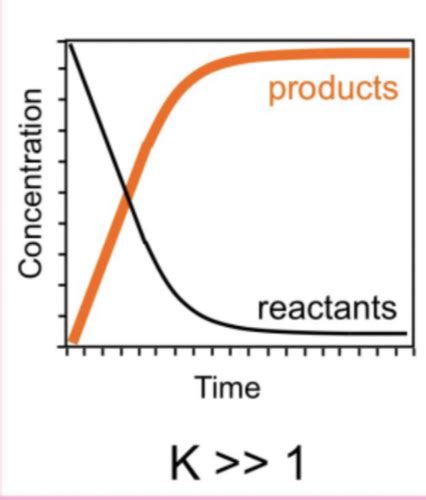 Measuring Equilibrium Concentration Flashcards Quizlet