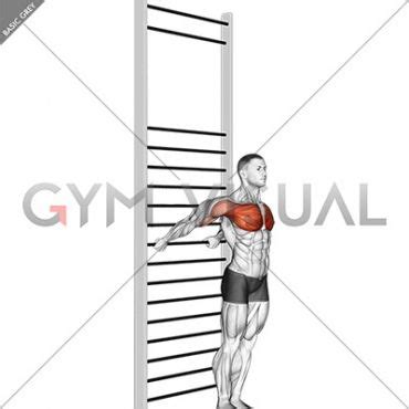 Standing Chest Stretch With Training Wall Bars Wall Bar Train