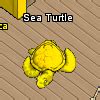 Sea Turtle Yppedia