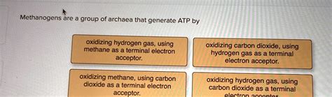 Methanogens Are A Group Of Archaea That Generate Atp By Oxidizing