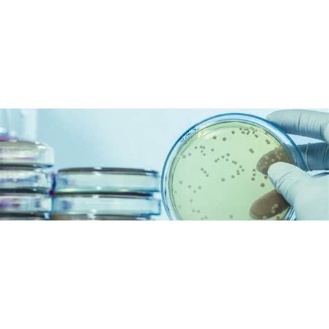 Microbiology Testing Labs At Best Price In New Delhi Delhi