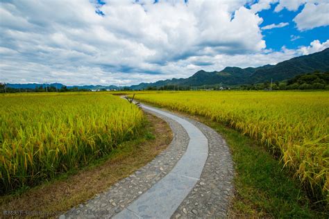 南屏素材图片下载 素材编号06264209 素材天下图库