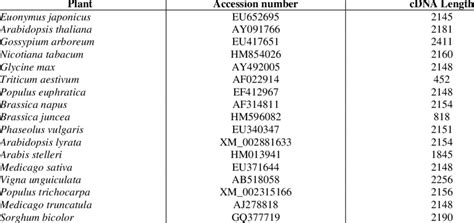 Studied Different Sources Of P5cs Genes Download Table