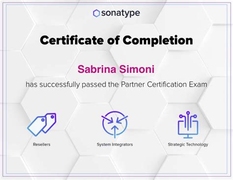 Sabrina Simoni On Linkedin Sonatype