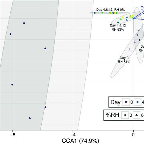 Compounds Identified Through Multilevel Pattern Analysis As Driving