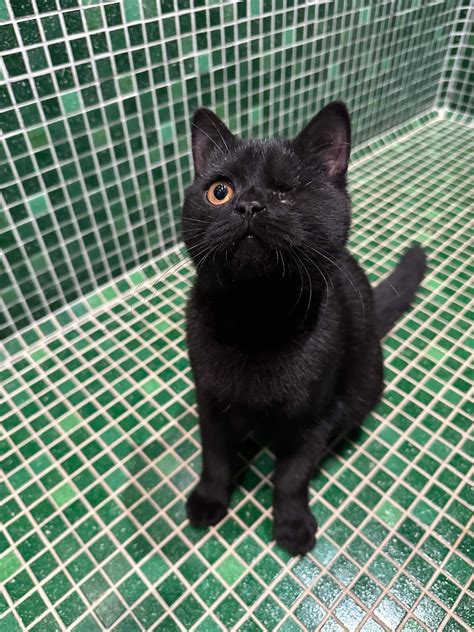 412 Ce750 1 C06 4 B2 D 84 C2 5 Ce11 F12 D5 E2 Hosted At Imgbb — Imgbb