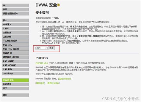 使用seay进行代码安全审计 Csdn博客