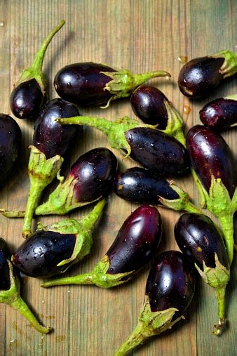 Terong Kecil Foto Stok Unduh Gambar Sekarang Kecil Deskripsi