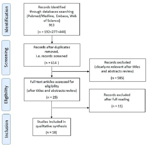 Flowchart Describing The Search Strategy Download Scientific Diagram