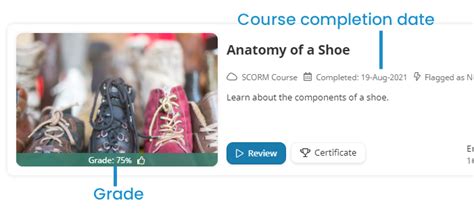 Learner Interface Course Details Course Information