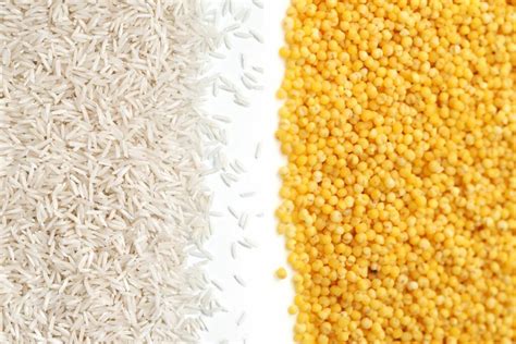 Rice Vs Millet Health Impact And Nutrition Comparison Common Grains
