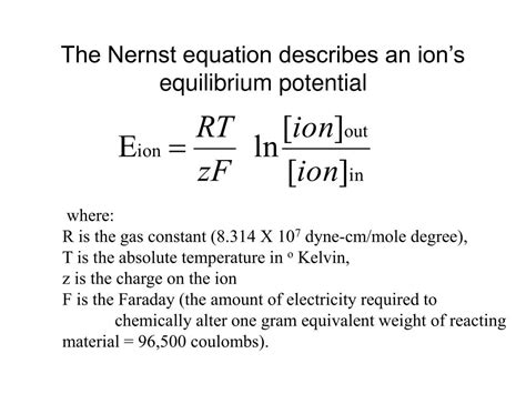 Ppt Resting Membrane Potential Powerpoint Presentation Free Download Id 2916634