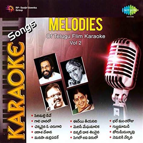 Melodies Of Telugu Flim Instrumental Vol 2 By Rajan Nagendra