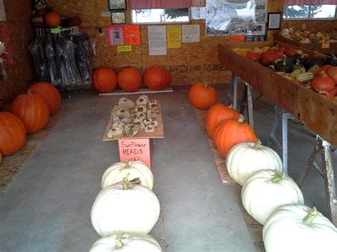 Hermanson Pumpkin Patch Edgerton Wi