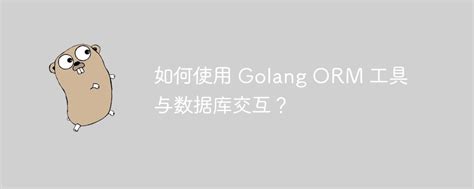 如何使用 Golang Orm 工具与数据库交互？ 叮当号