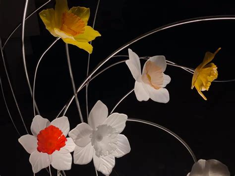 Craig Mitchell Smith Talking Out Your Glass