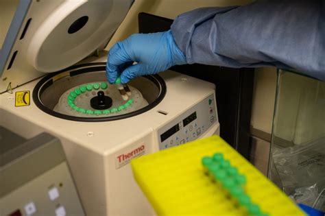 Largest Insect Genome Discovered In A Grasshopper Study