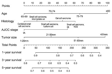 A Nomogram For Prediction Of 1 3 And 5 Year Lung Cancer Specific