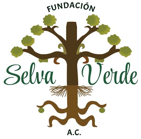 blog fsv mx