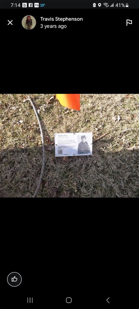 Phoebe A Wise 1851 1933 Find A Grave Memorial