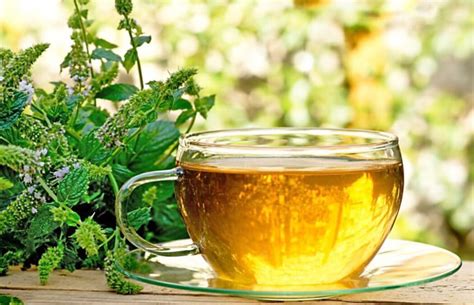 Peppermint Tea16 Benefits Side Effects And How To Make It