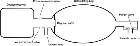 Parts Of An Ambu Bag With Diagram And Explanation