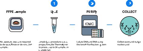 Ionic® Purification Kits Bionanogenomics