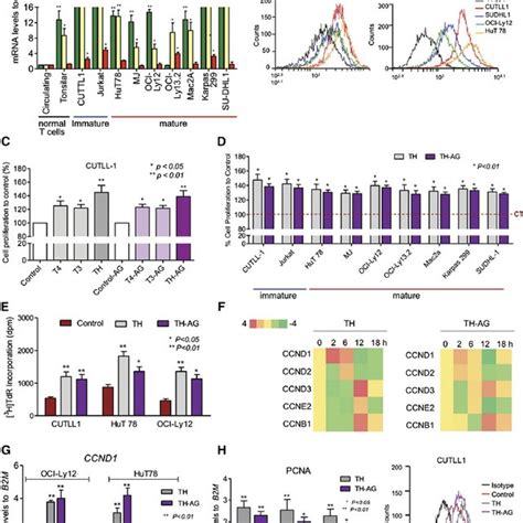 PDF Integrin αVβ acting as membrane receptor for thyroid hormones mediates angiogenesis in