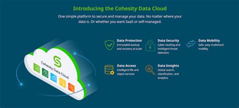 A New Era Of Cohesitys Leadership In Data Security And Management