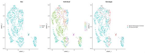 Hands On Filter Plot And Explore Single Cell Rna Seq Data With