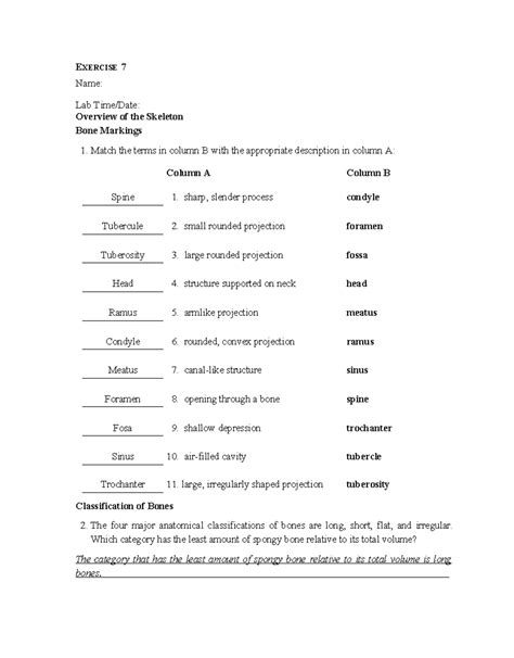 Exercise Overview Of The Skeleton EXERCISE Name Lab Time Date Overview Of The Skeleton