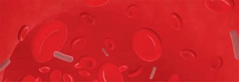 Thanks Karen And Team For This Article That Highlights What Ips Need To