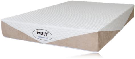 Mlily Harmony Mattress