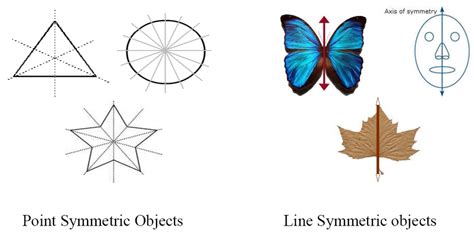 Point Symmetric And Line Symmetric Objects See Online Version For Download Scientific Diagram