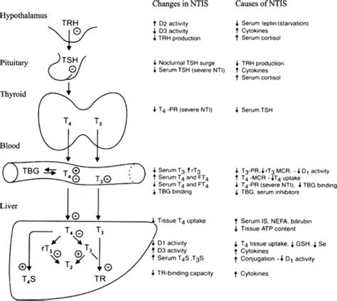 Nonthyroidal Illness Syndrome Oncohema Key