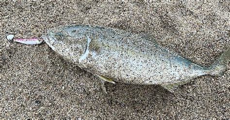 Burij Album On Imgur