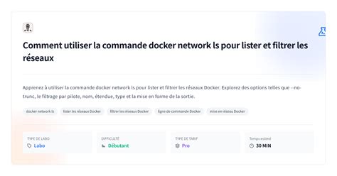 Comment Utiliser La Commande Docker Network Ls Pour Lister Et Filtrer Les Réseaux Labex