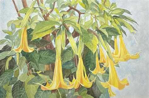 Elizabeth Fields Art Crow Skull Tattoo Tattooartist Sandiegotattooartist