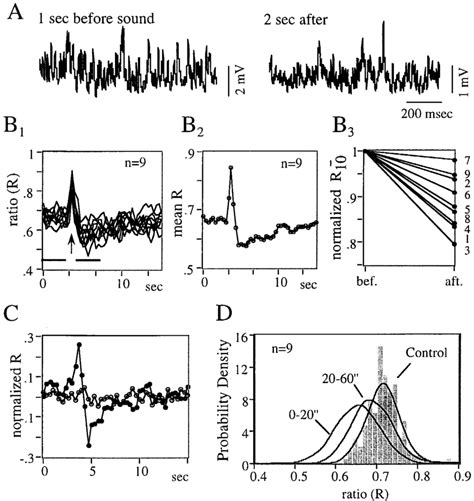 Modifications Of Dynamics By Sensory Stimuli All Data Are From The