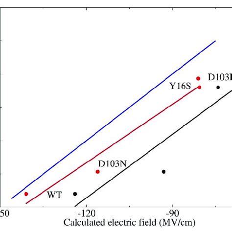 Correlation Of The Electric Fields Between The Experimental Results And