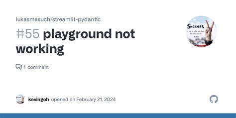 Playground Not Working · Issue 55 · Lukasmasuchstreamlit Pydantic · Github