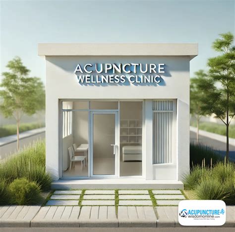 Expert Acupuncture Holistic Wellness Acupuncture Wisdom Online