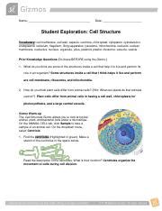 Understanding Cell Structure: Key Organelles and Functions | Course Hero